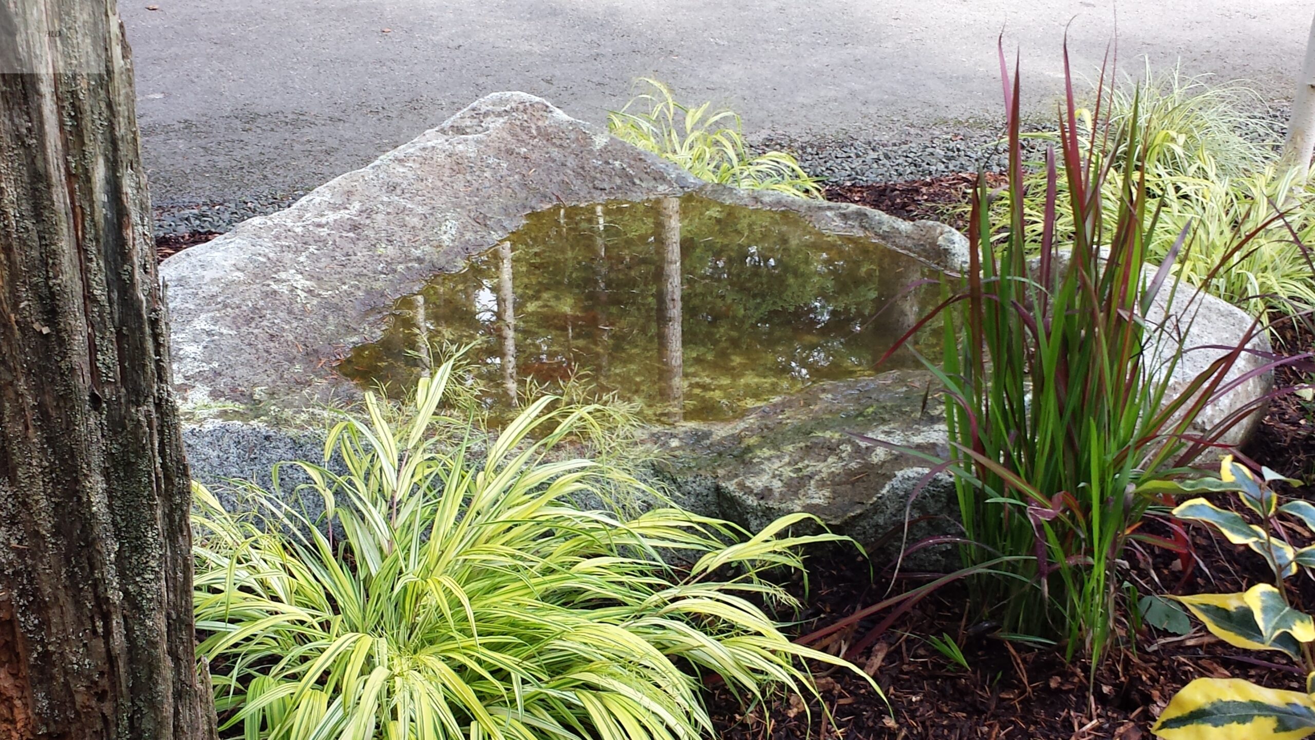 Photos & Examples of Harbor Landscape Design Projects | Harbor ...