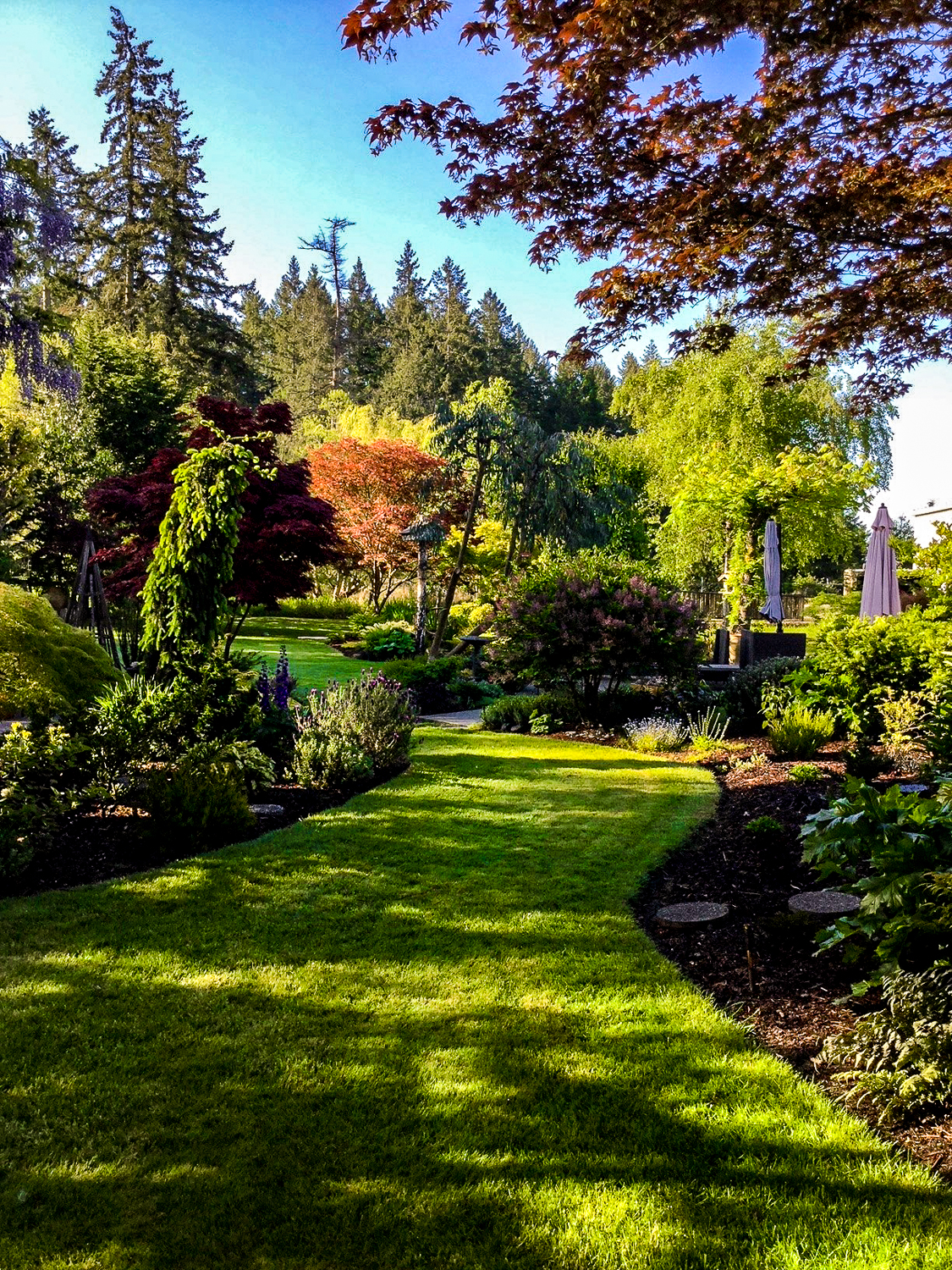 Portfolio – Harbor Landscape Design