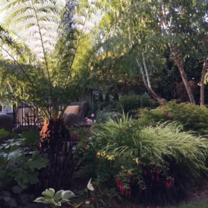 Portfolio – Harbor Landscape Design